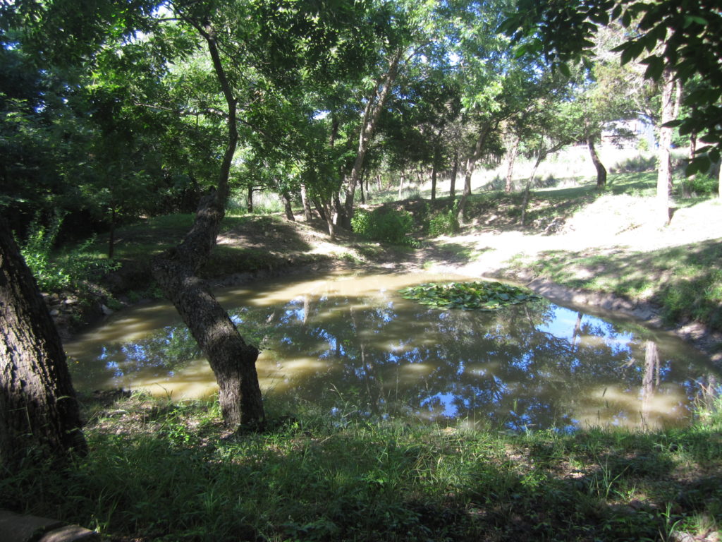 Historical Bandera Pass - Teich Properties, LLC