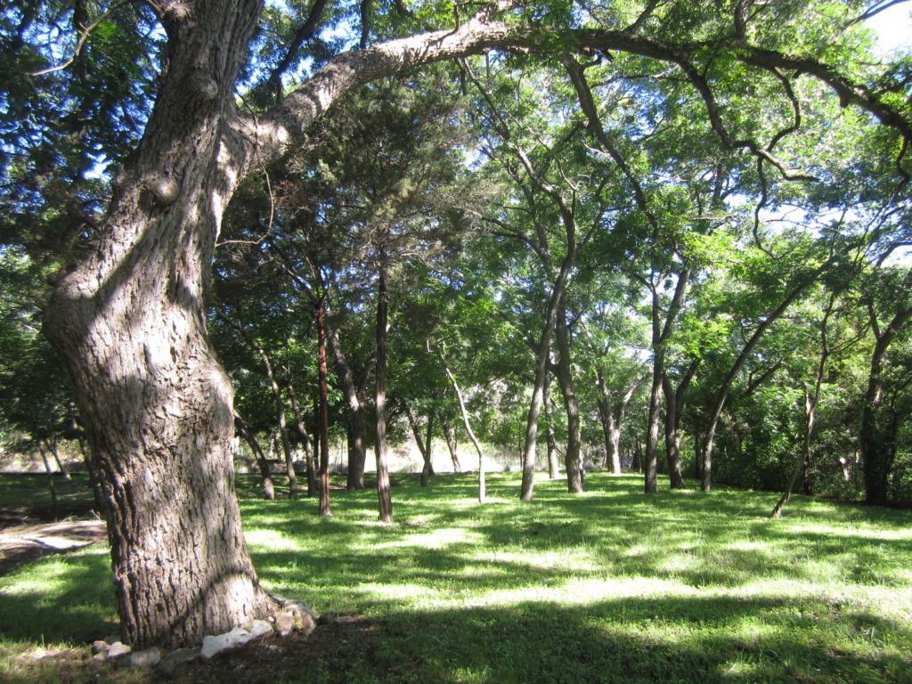 Historical Bandera Pass - Teich Properties, LLC