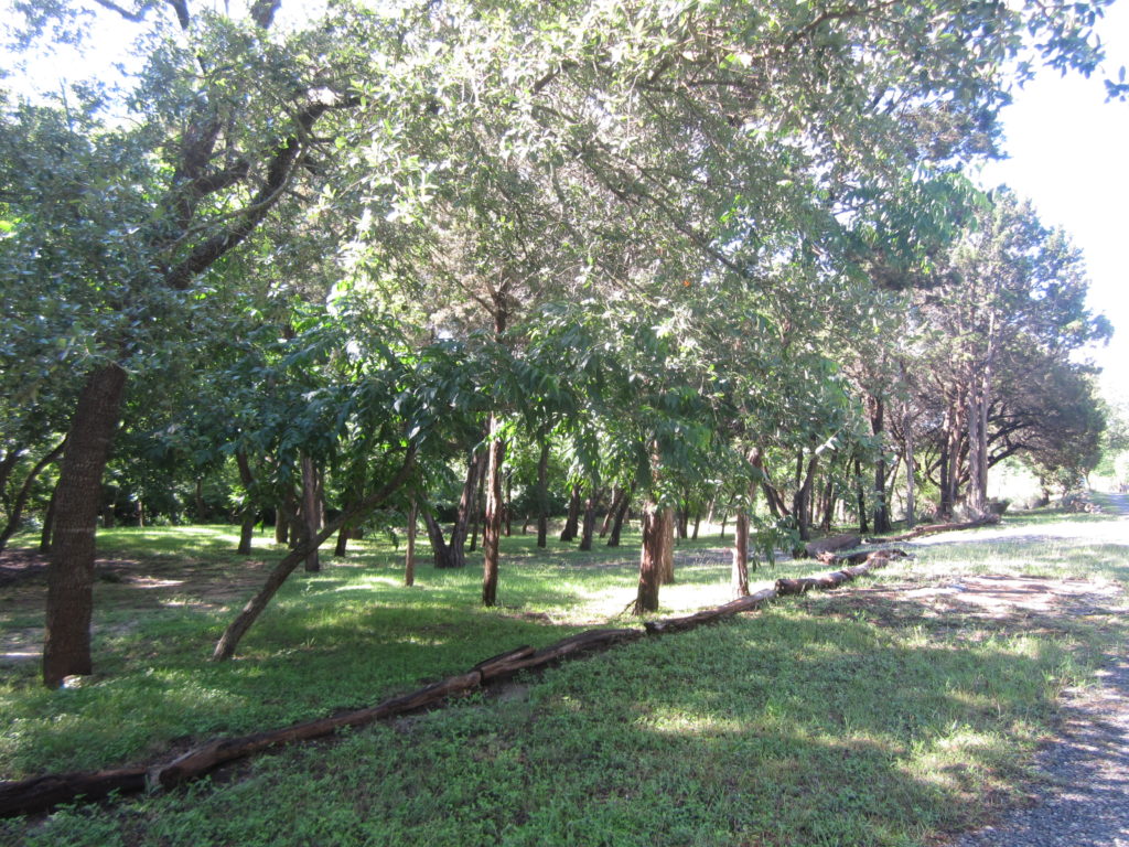 Historical Bandera Pass - Teich Properties, LLC