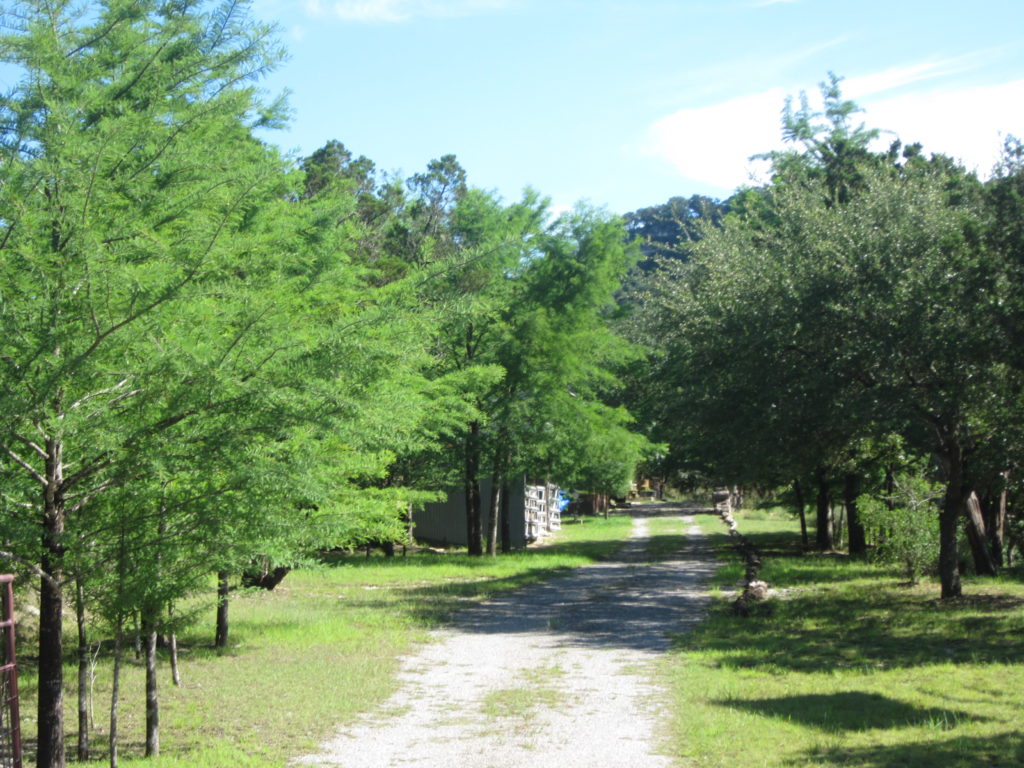 Historical Bandera Pass - Teich Properties, LLC